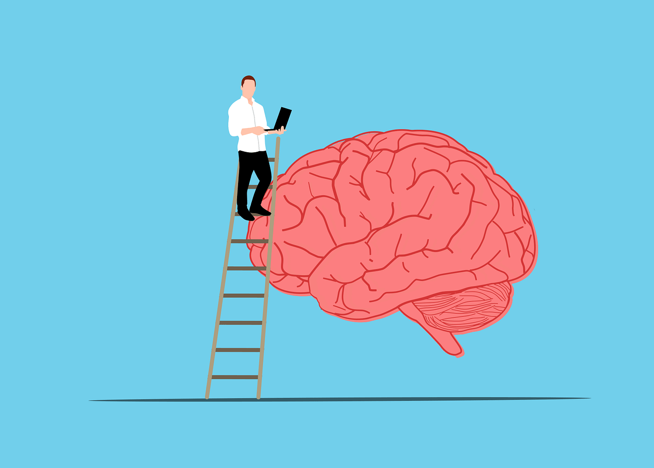 Stanford-Binet IQ Test - Free IQ Test